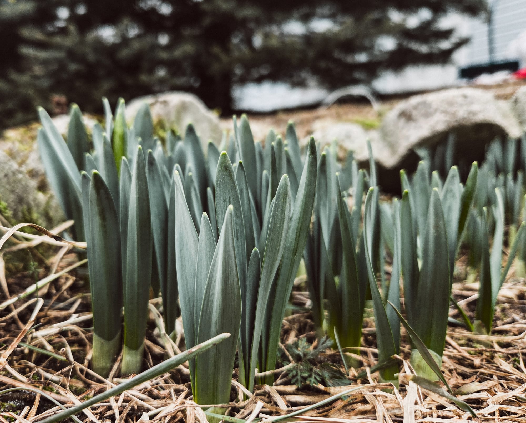 My Intentions for Marble & Mud in 2025